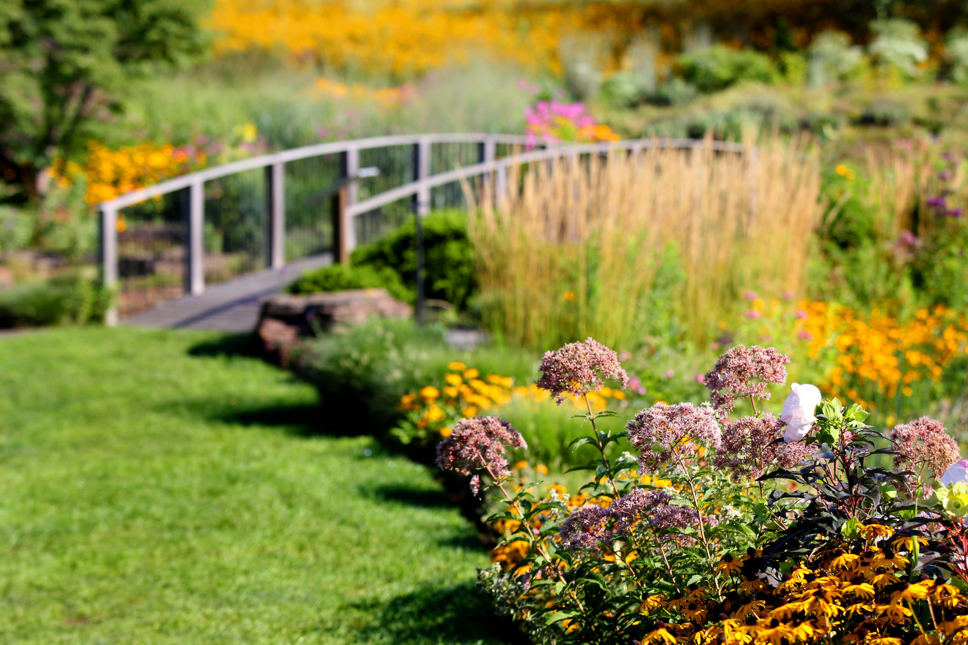 Holden Forests & Gardens | Holden Arboretum*** – North American ...
