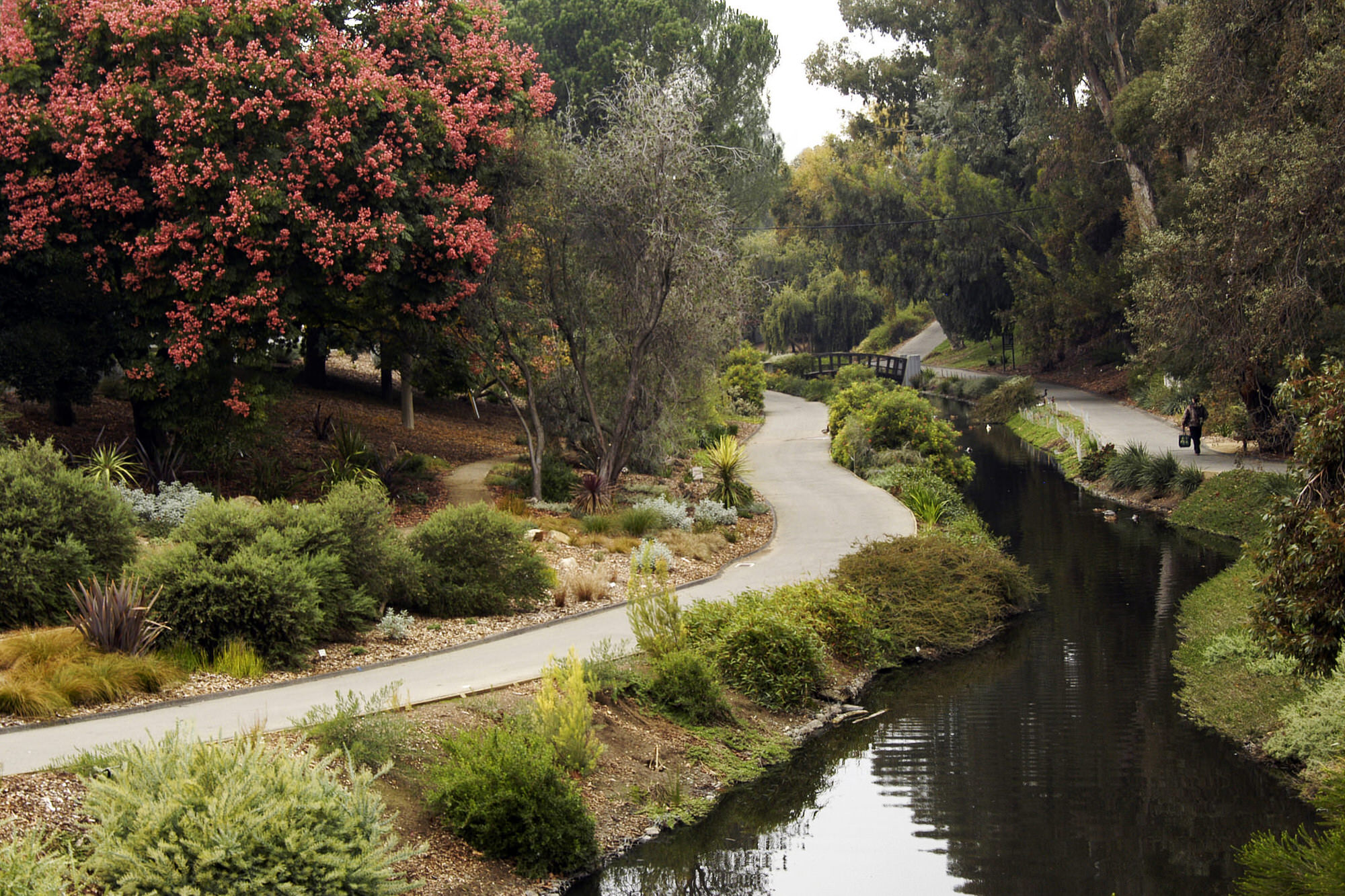 UC Davis Arboretum and Public Garden – North American Reciprocal Museum ...