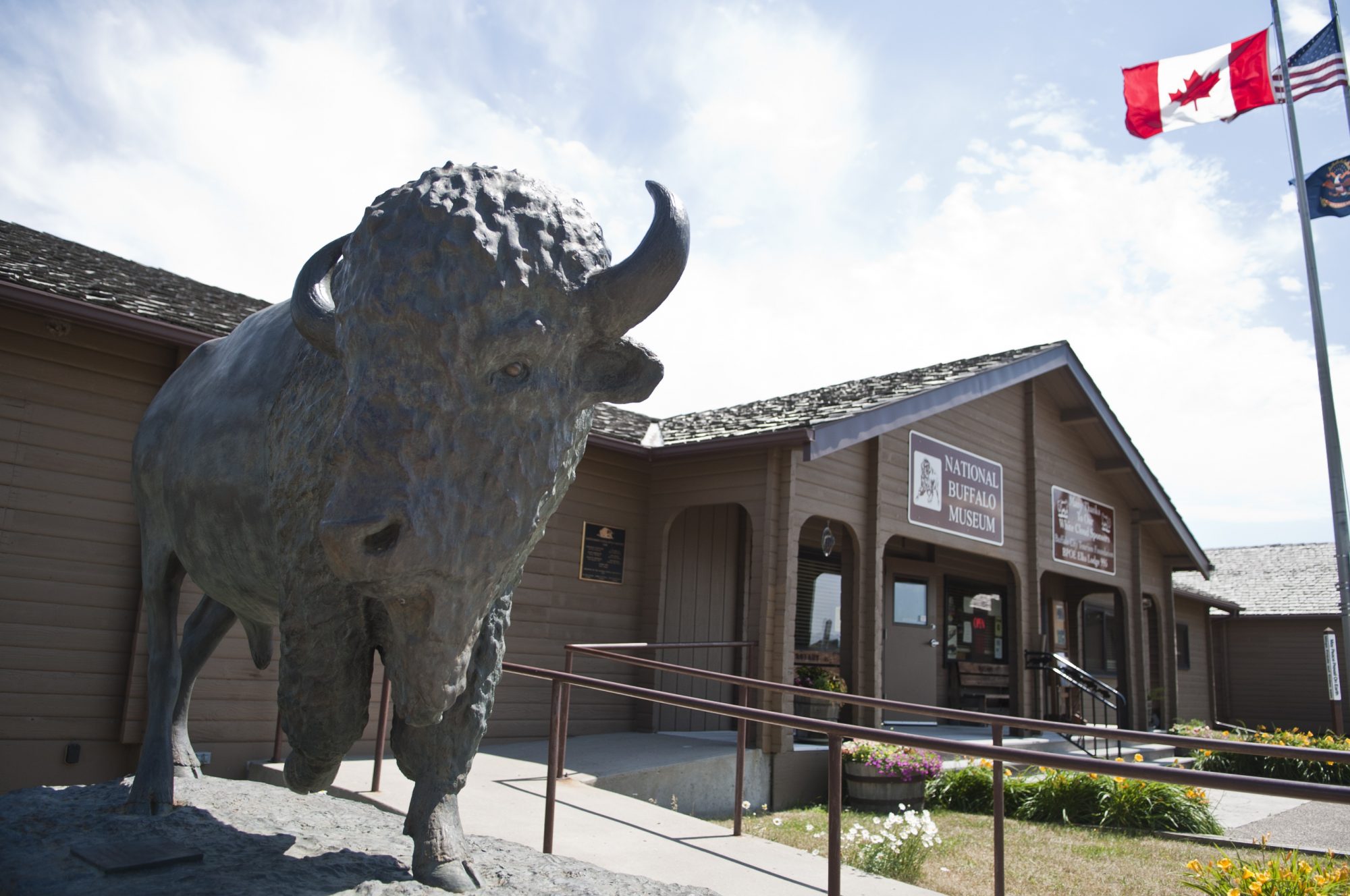North American Bison Discovery Center (formally the National Buffalo ...