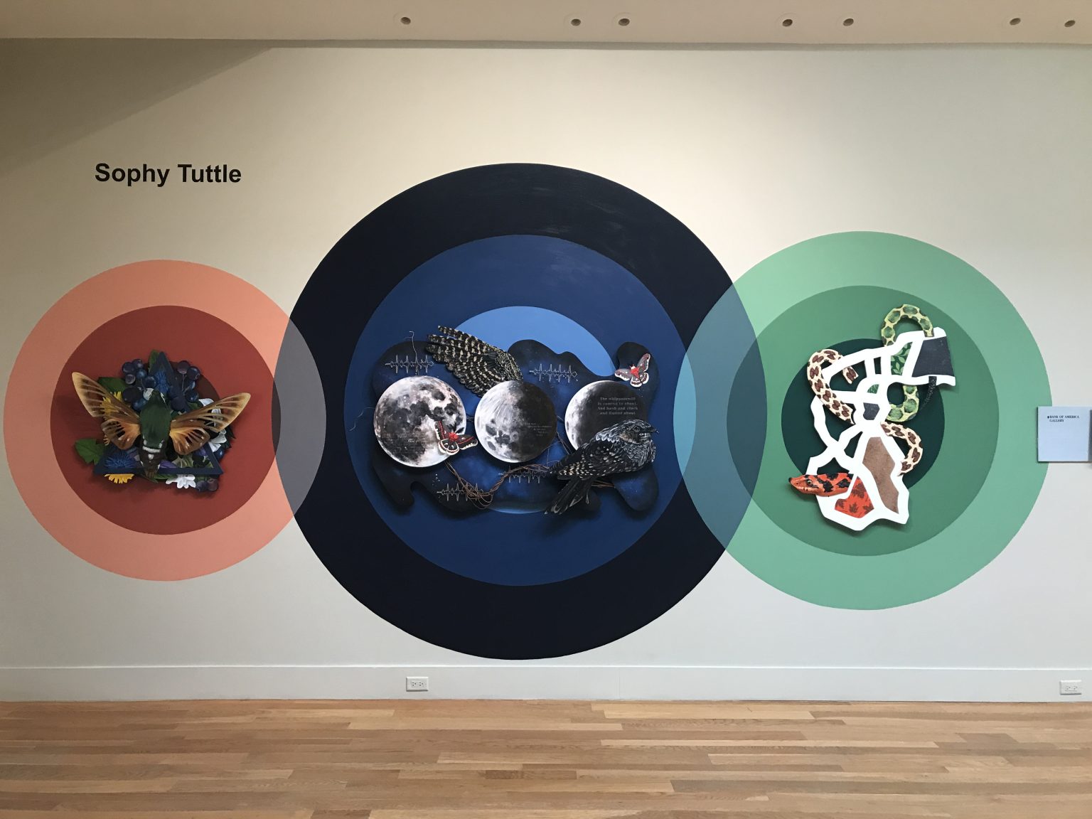 Walls That Connect: The Cape Cod Mural Project – North American ...
